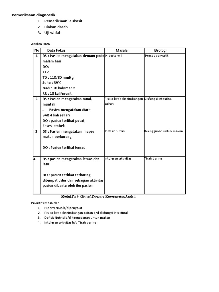 LP Dan SKEP Demam Typhoid | PDF