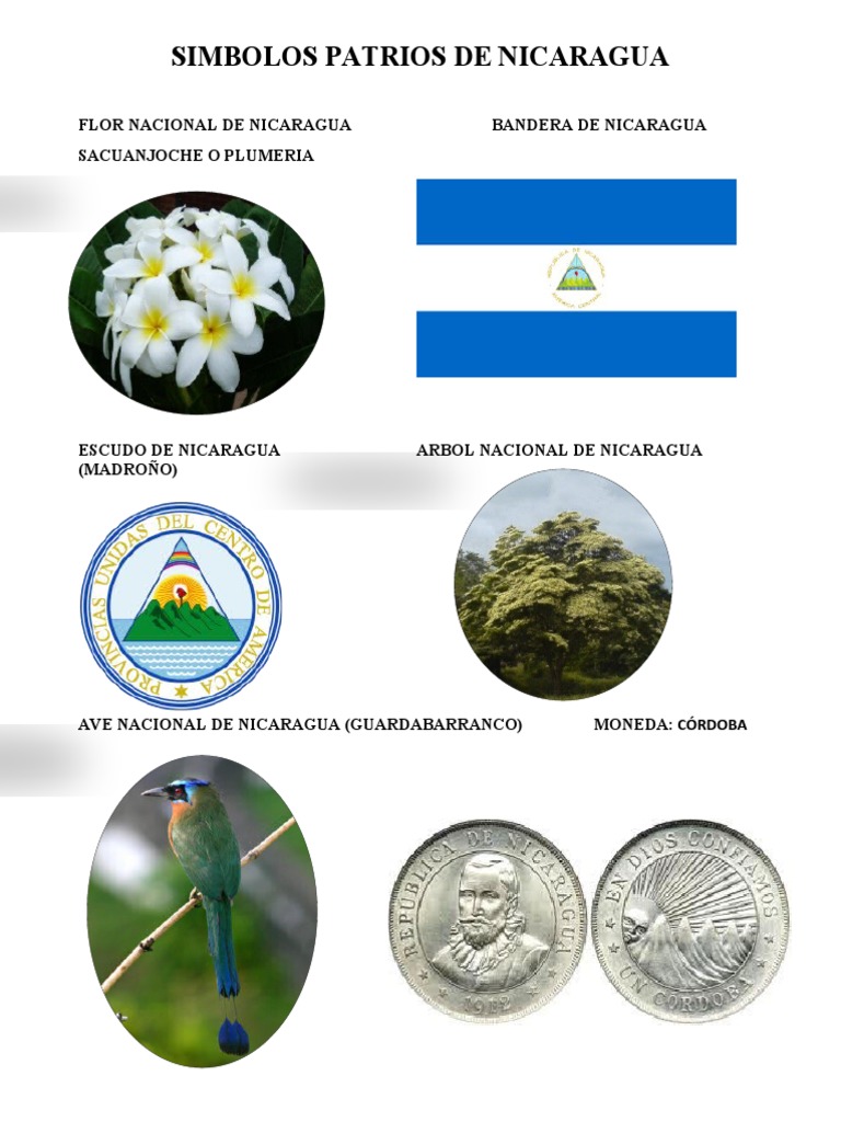 Símbolos Patrios de Nicaragua | PDF | Viajes y turismo | Cocina ...