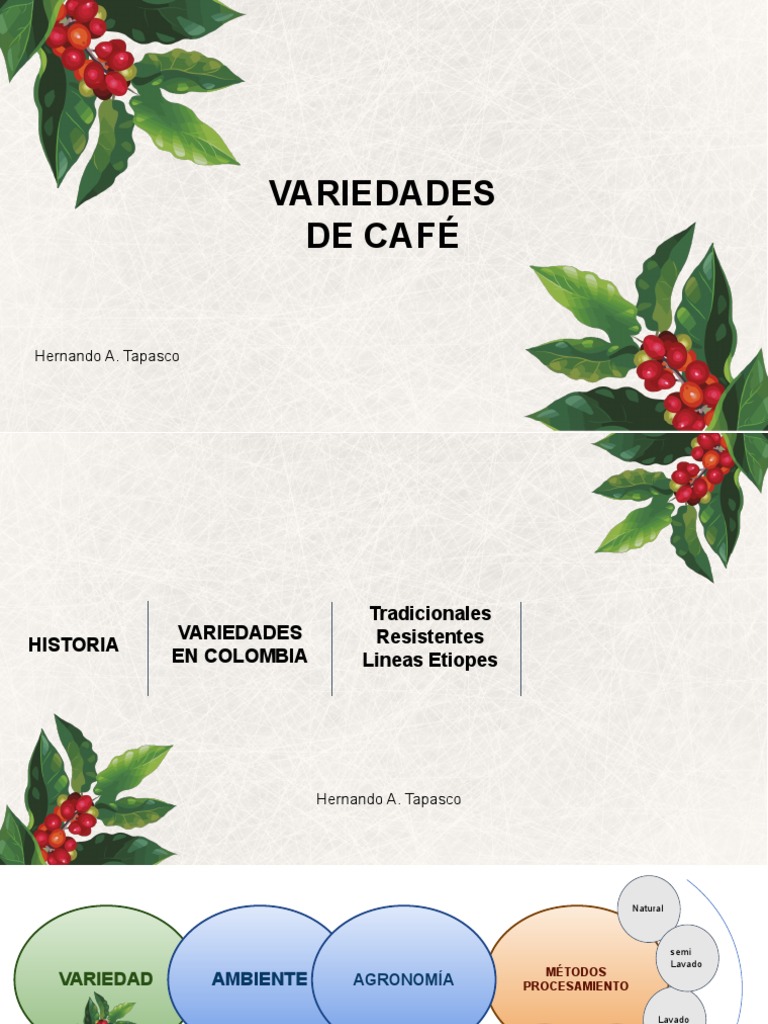 Variedades | PDF | café | Agricultura