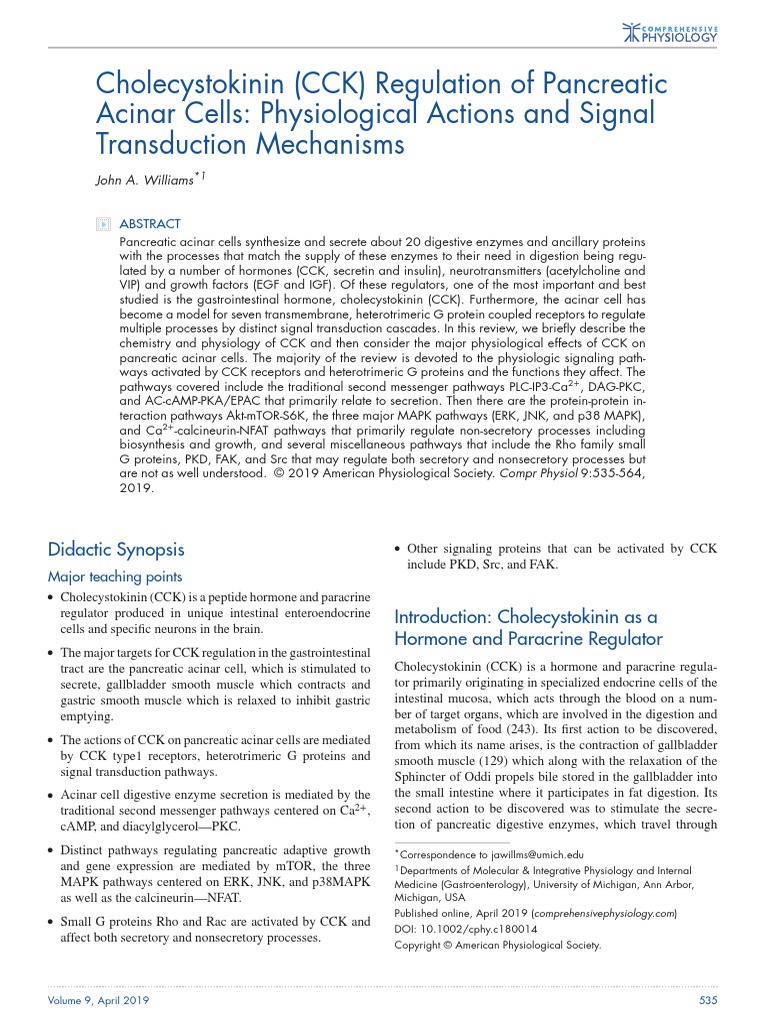 CCK 2019 | PDF | Pancreas | Cell Signaling
