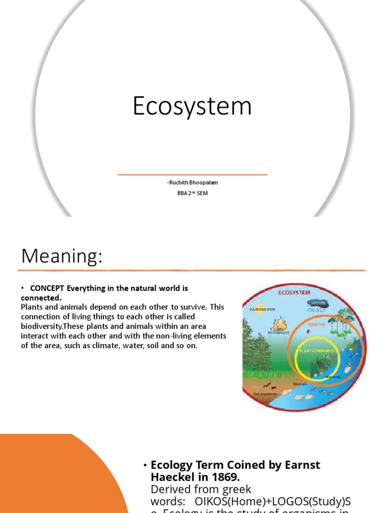 Ecosystem | PDF | Ecosystem | Ecology