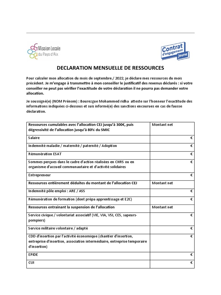 Cej - Declaration Mensuelle de Ressources - Matrice Cej | PDF | Emploi ...