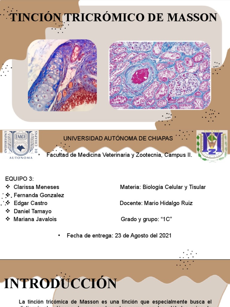 Tinción Tricómica de Masson | PDF | Tinción | Histología