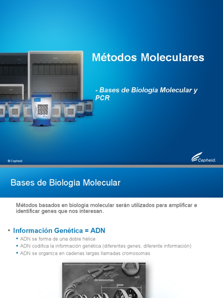 1 - Principio de PCR de GeneXpert vs. Otros Metodos Moleculares | PDF ...
