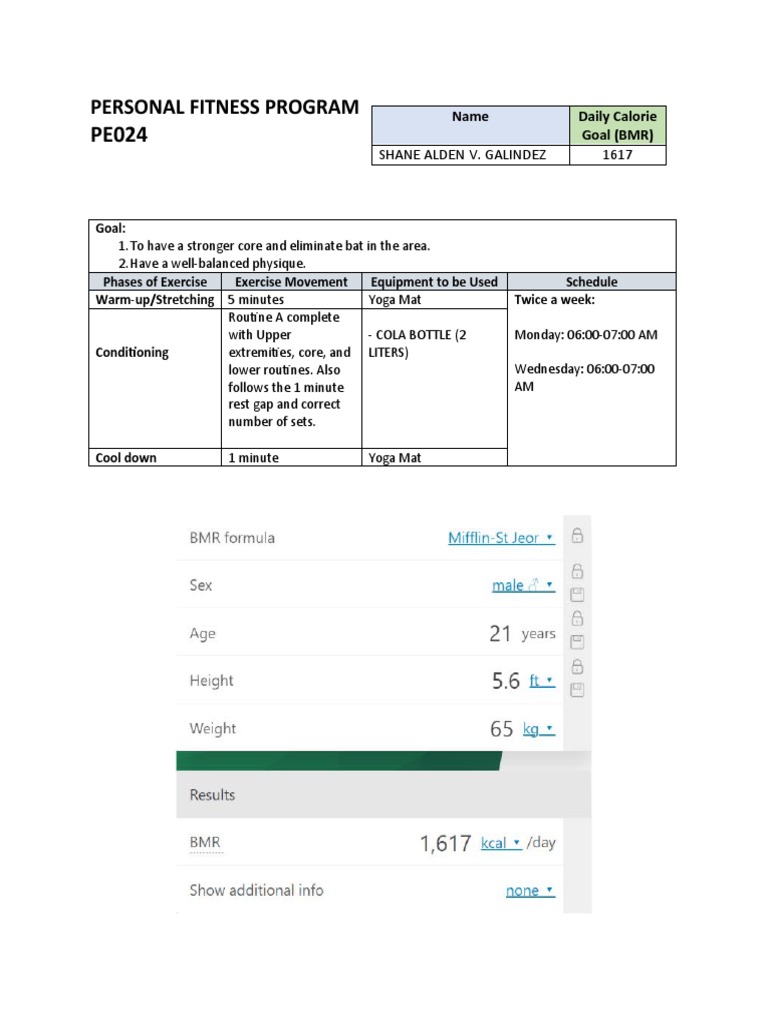 PE024 - Personal Fitness Program - Template | PDF