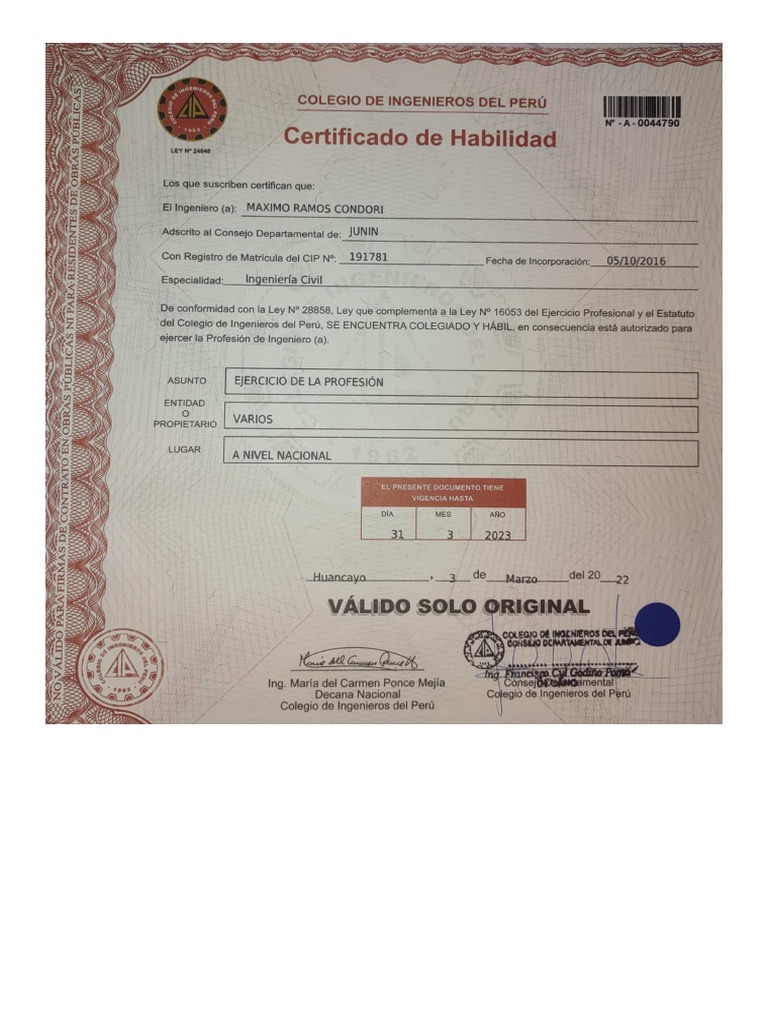 Habilidad Ing. Maximo Ramos Condori 2022 | PDF