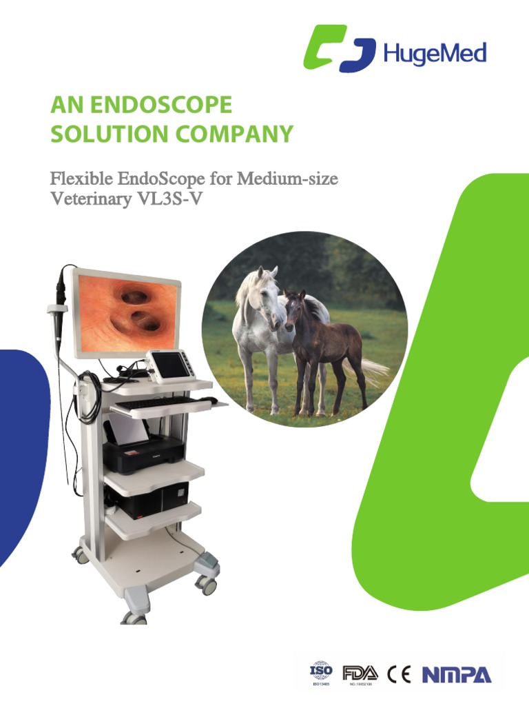 Flexible EndoScope For Medium-Size Veterinary VL3S-V | PDF