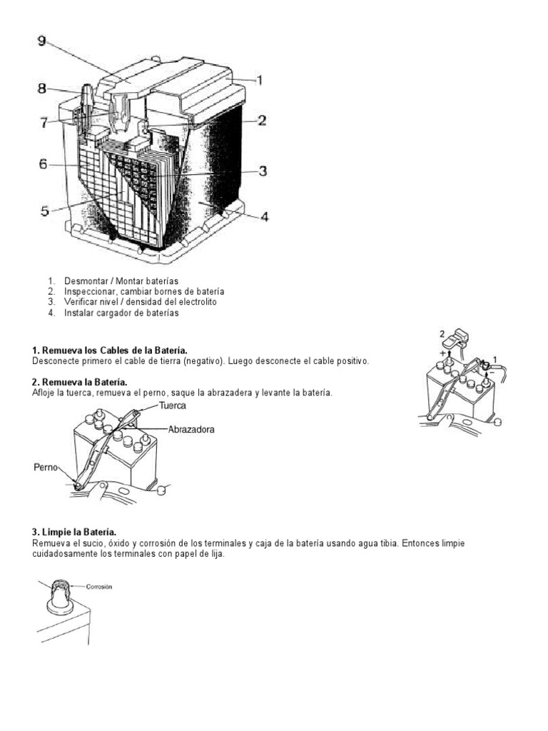 Mantenimiento A La Bateria | PDF | Cargador de batería | Corriente eléctrica