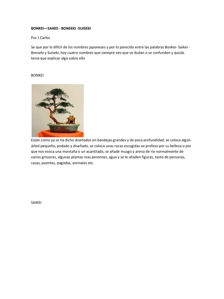 Bonkei Bonsai | PDF