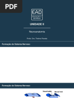 Anatomia Veterinária I | PDF | Esqueleto | Anatomia