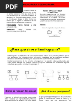 El Mapa Familiar | PDF | Mapa | Información