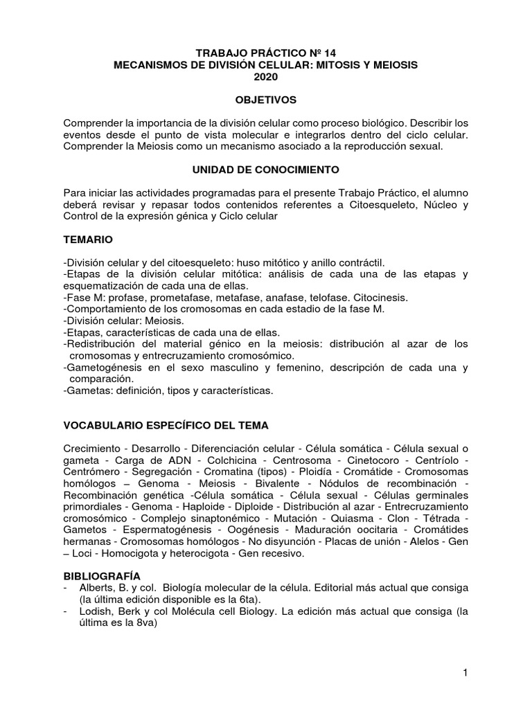 TP 14 Mitosis Meisosis | PDF | Mitosis | Mitosis TP 14 Mitosis Meisosis | PDF | Mitosis | Mitosis