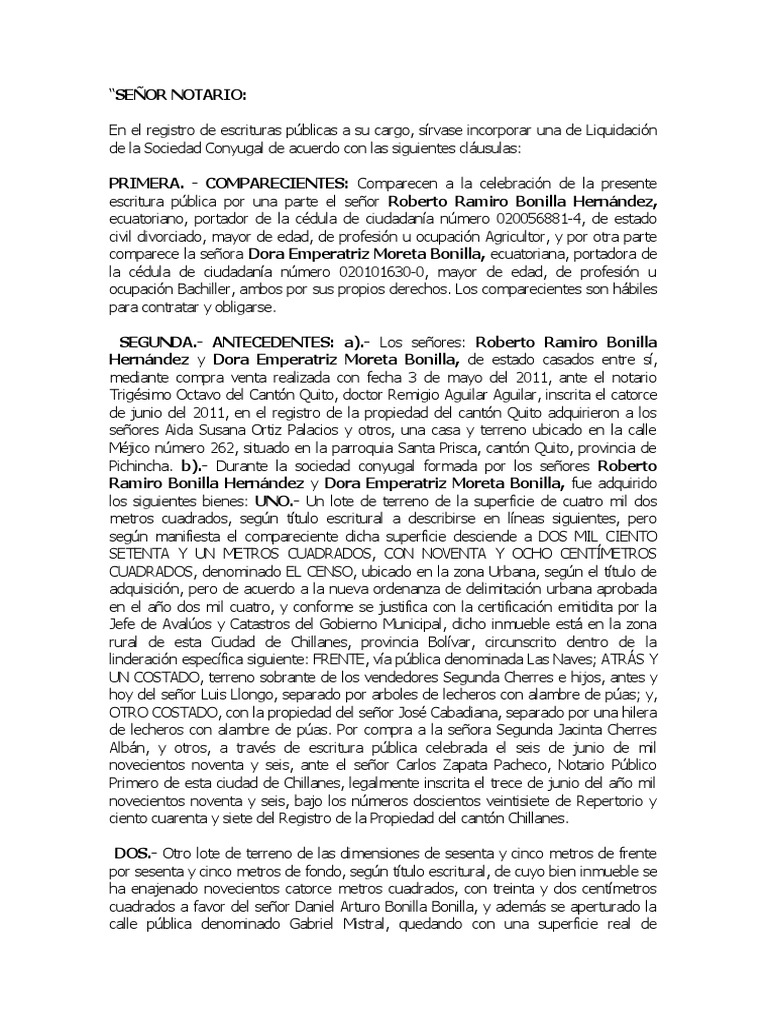 Minuta Disolucion Conyugal | PDF | Justicia | Crimen y violencia