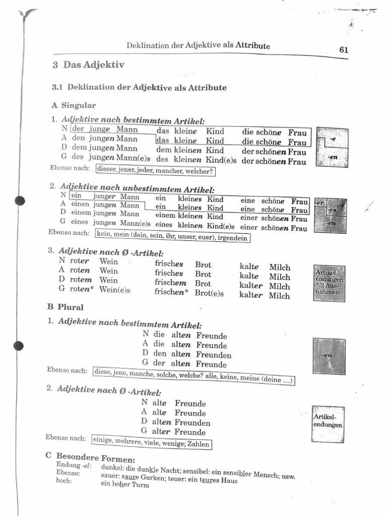 Deklinationen Von Adjektiven | PDF