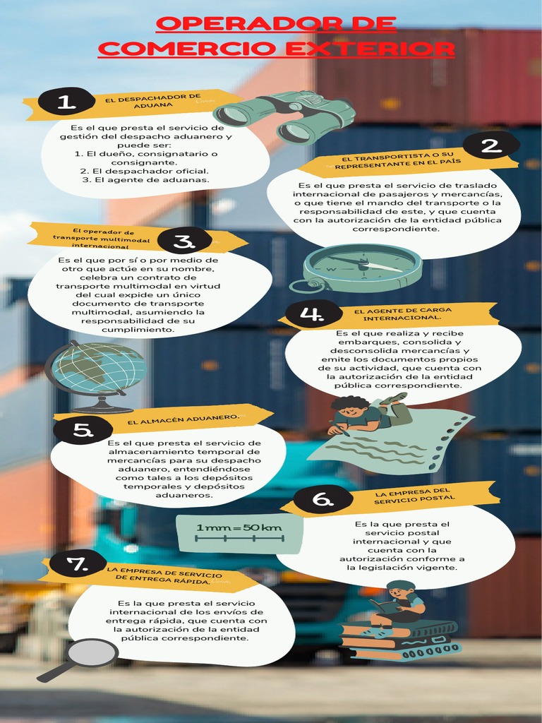 Operadores de Comercio Exterior - Infografia | PDF | aduana | El comercio internacional