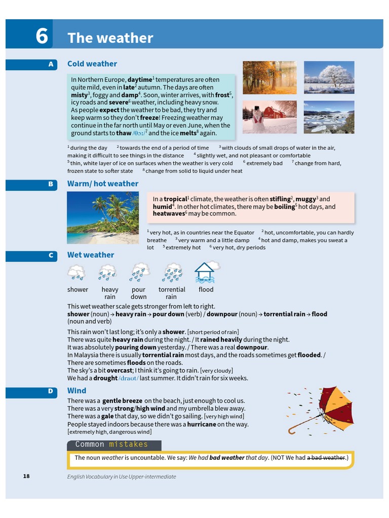 The Weather - Vocabulary 1st Y | PDF | Rain | Weather