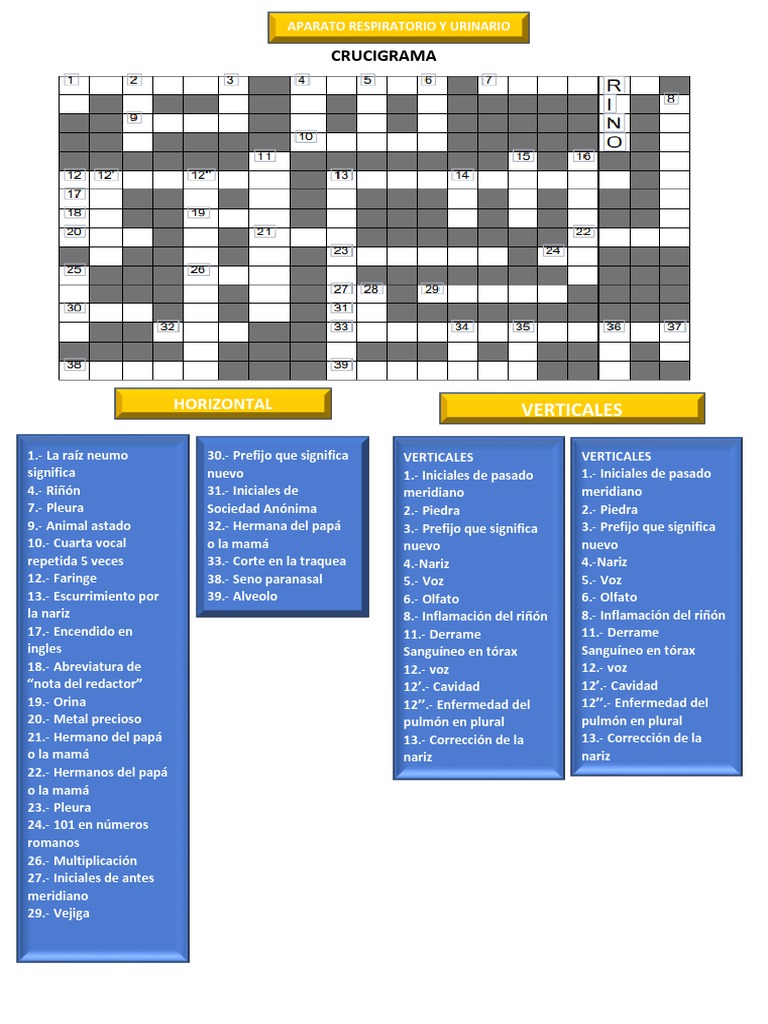 Terminologia en Salud - Crucigrama | PDF