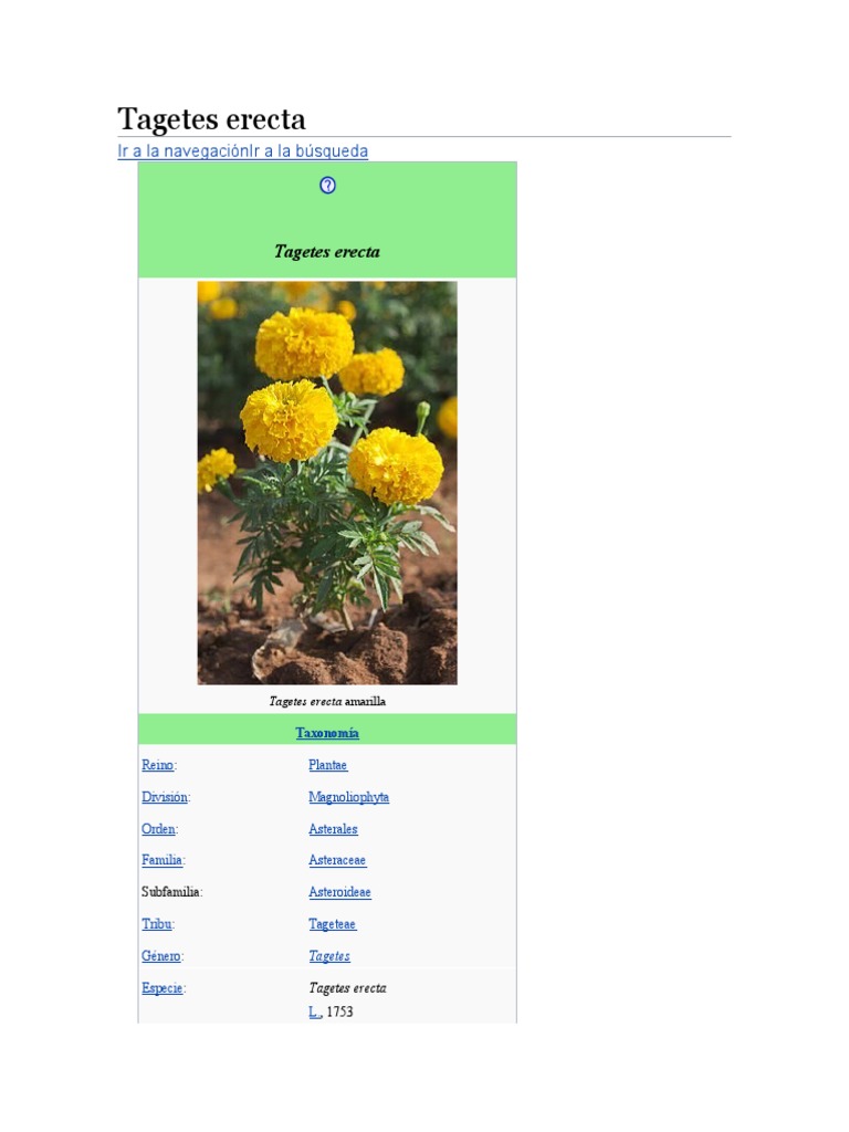 Tagetes Erecta | PDF | Botánica | Plantas