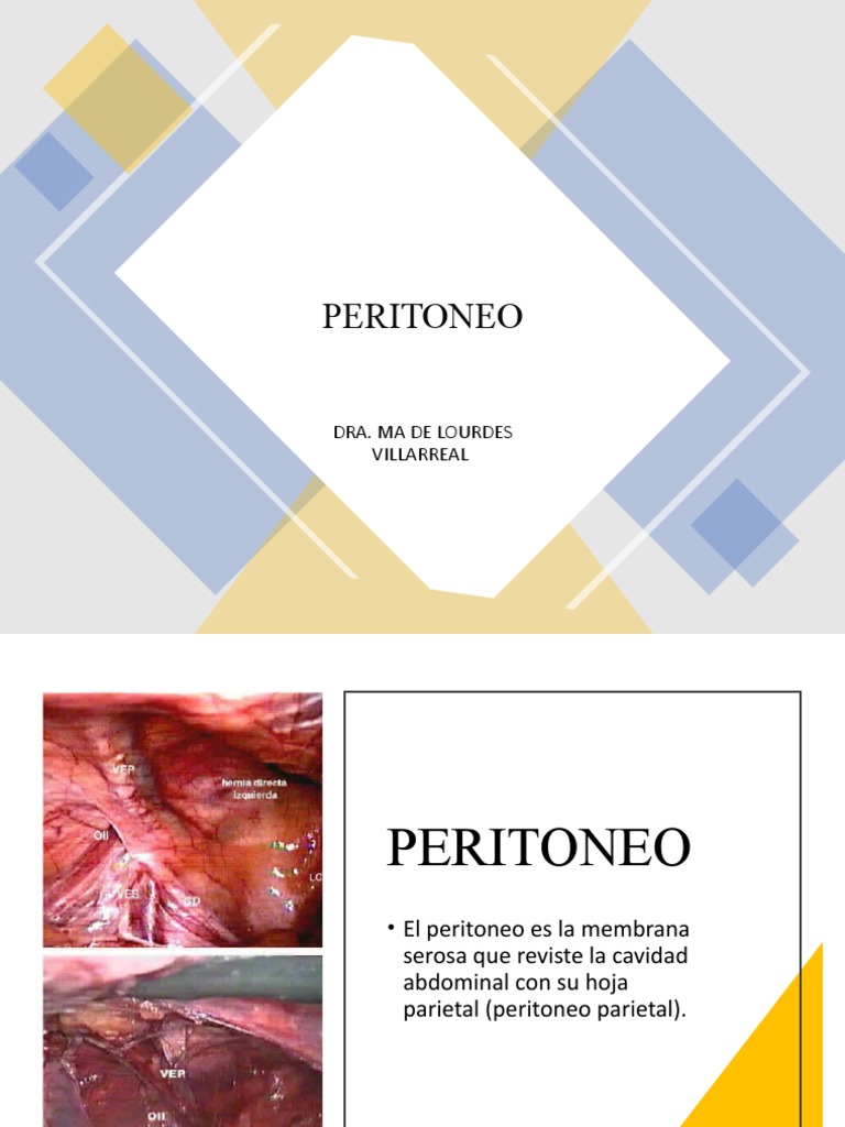 Peritoneo 1 | PDF | Peritoneo | Abdomen