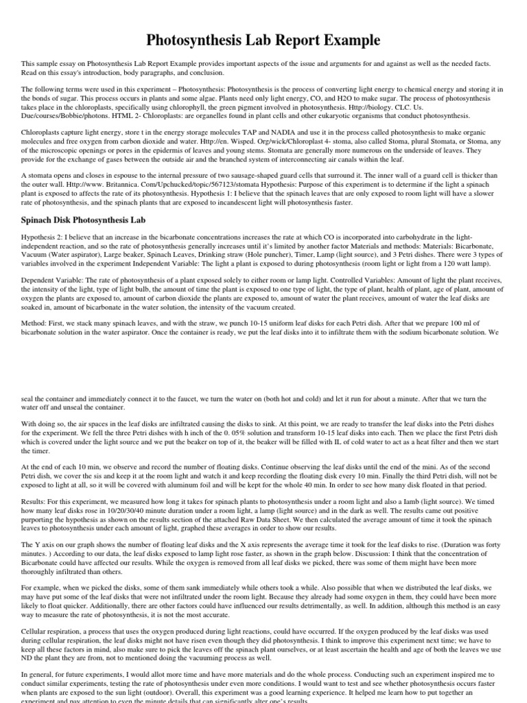 Photosynthesis Lab Report Example | PDF | Stoma | Photosynthesis