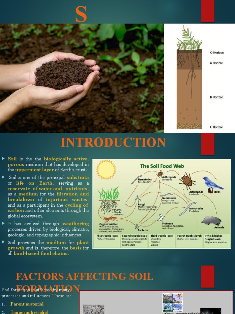 SOILS | PDF | Soil | Rock (Geology)