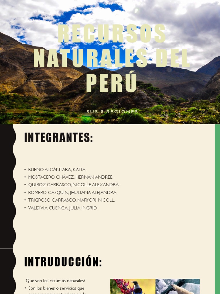 Recursos Naturales Del Perú | PDF | Andes | Perú