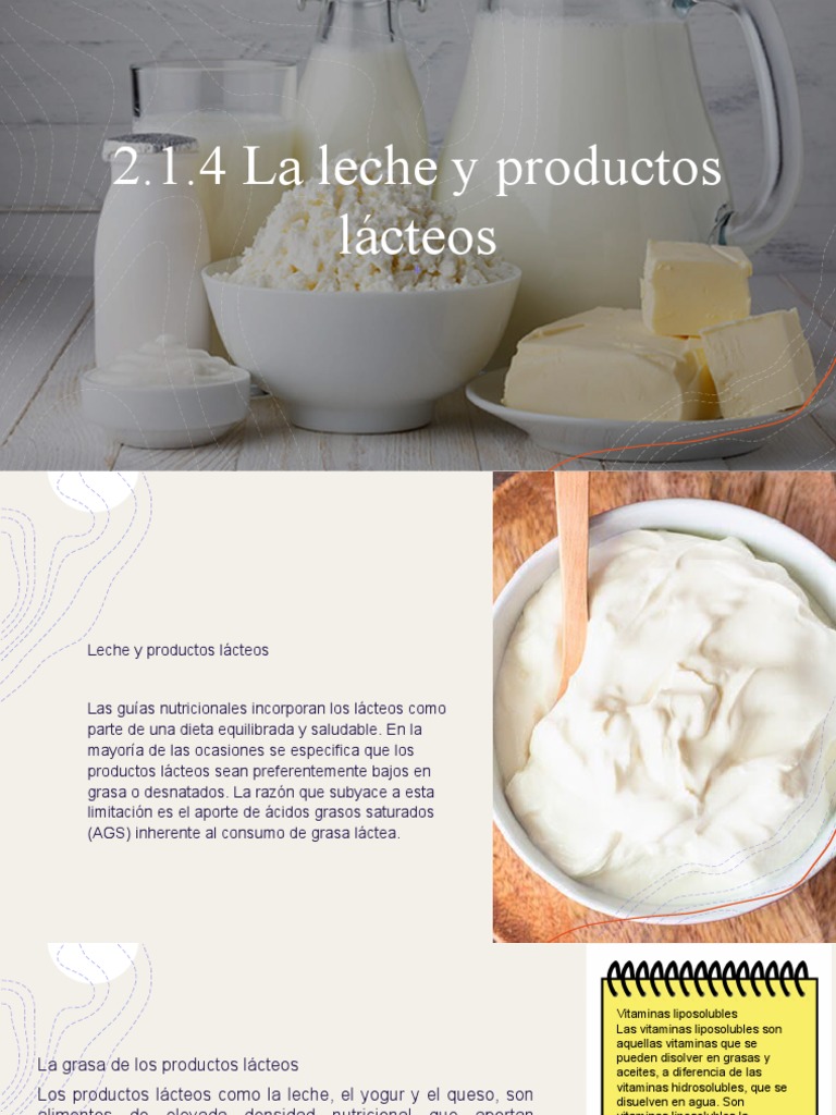 Lacteos | PDF | Leche | Productos lácteos