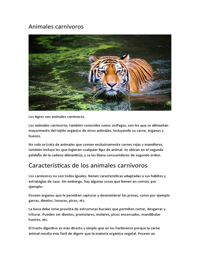 Características y Ejemplos de Carnívoros | PDF | Carne | Organismos