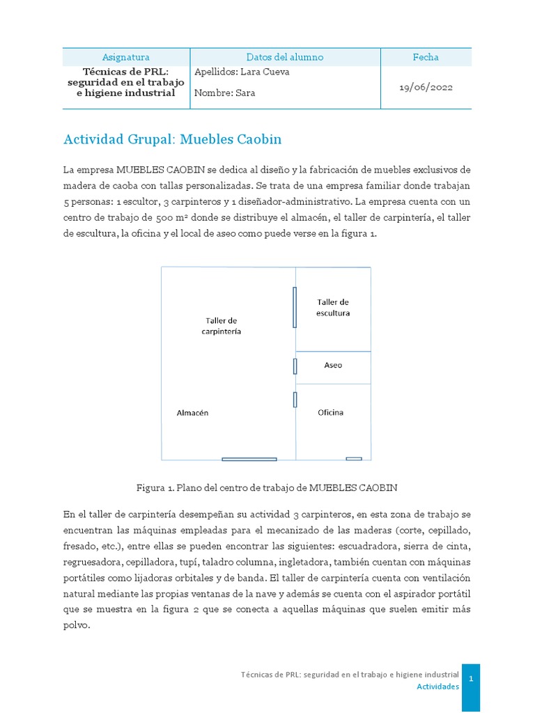 Evaluación PRL en Muebles Caobin | PDF | Alergia | Higiene Ocupacional