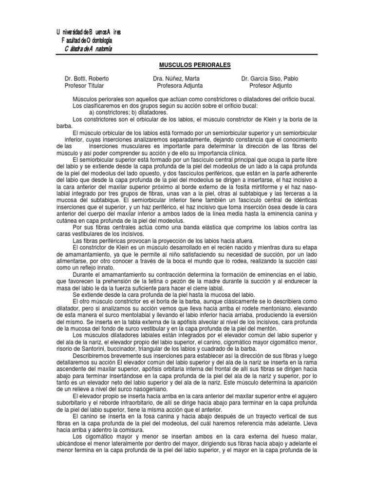 Músculos Periorales y su Función | PDF | Tejido suave | Cara
