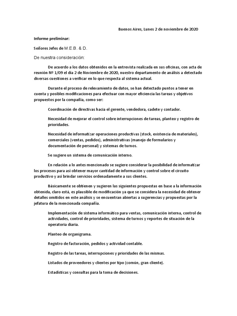 Informe Preliminar | PDF | Informática | Business