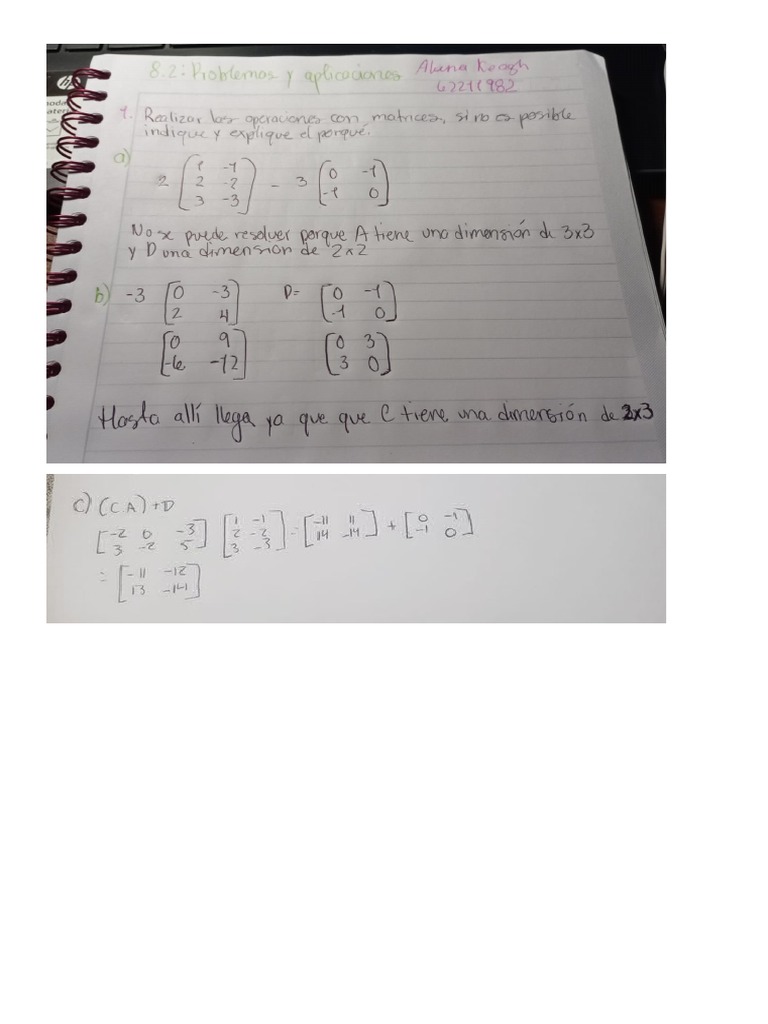 Tarea 8.2 Problemas y Aplicaciones | PDF