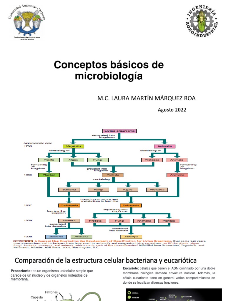 Conceptos Microbiología Básica | PDF | Las bacterias | Esterilización (Microbiología)