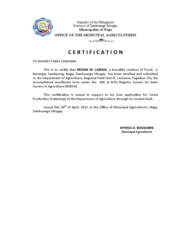 Certification RSBSA Sandayong | PDF