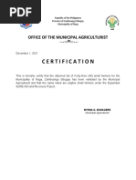 RSBSA Barangay Certificate | PDF