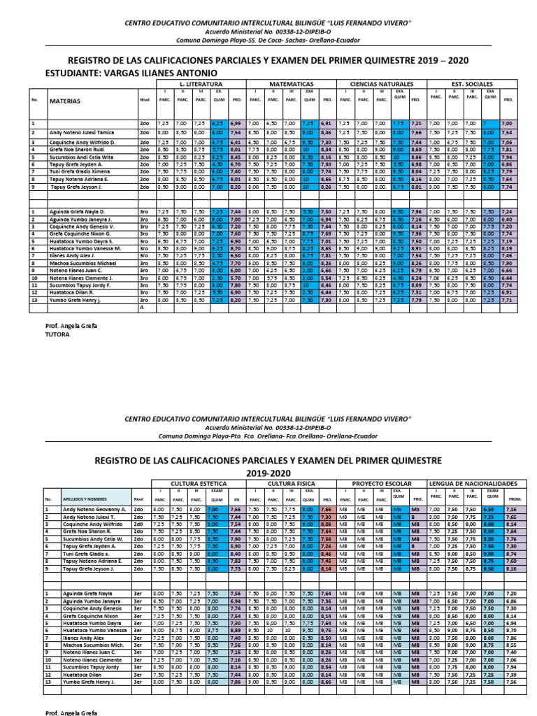 Cuadro de Calificaciones 2019 y 2020 | PDF