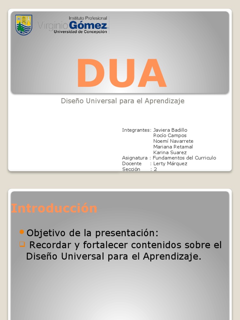 Principios del Diseño Universal para el Aprendizaje | PDF | Plan de ...