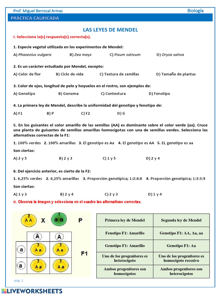 Ejemplos de la Primera Ley de Mendel | PDF | Dominancia (Genética ...