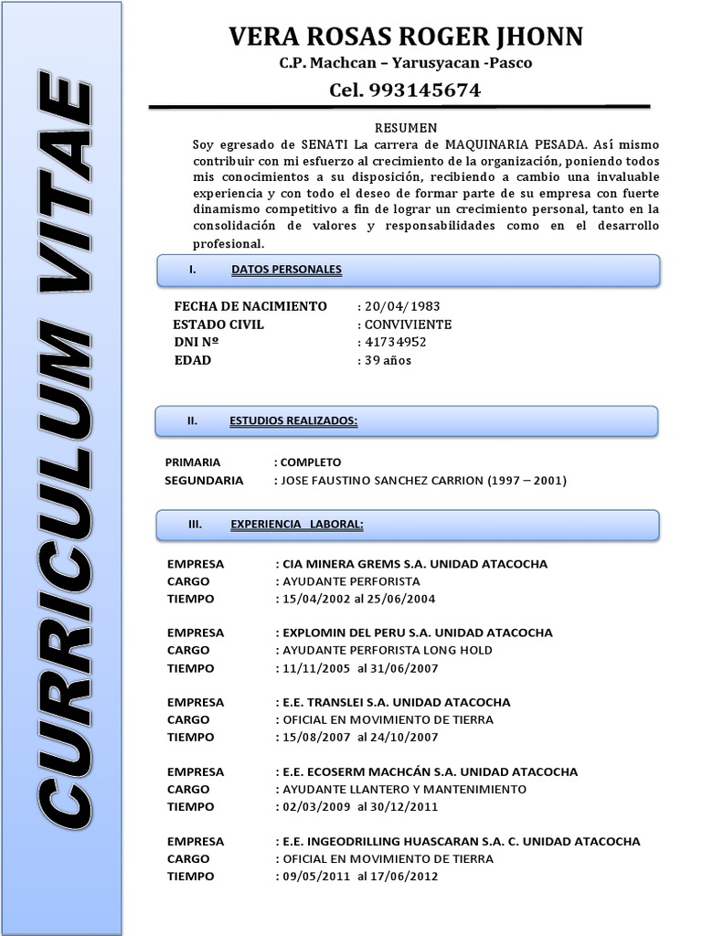 Curriculum Roger Vera Rosas 001 | PDF