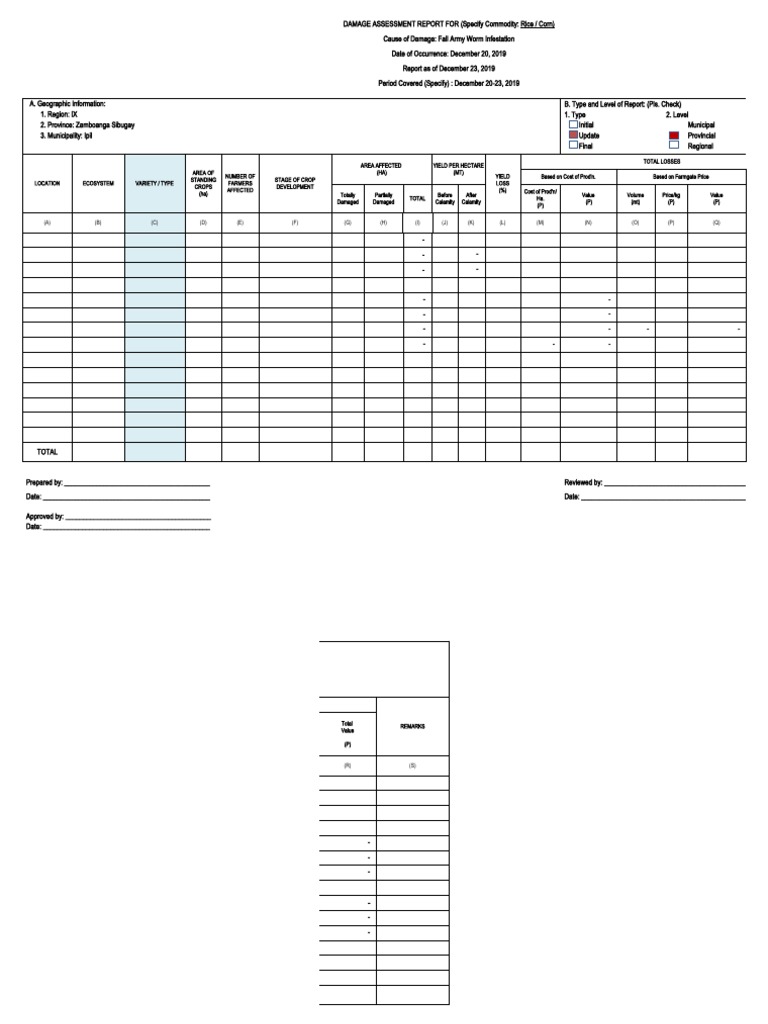 Sample Damage Assessment Report For FAW 1 | PDF | Food And Drink | Food ...