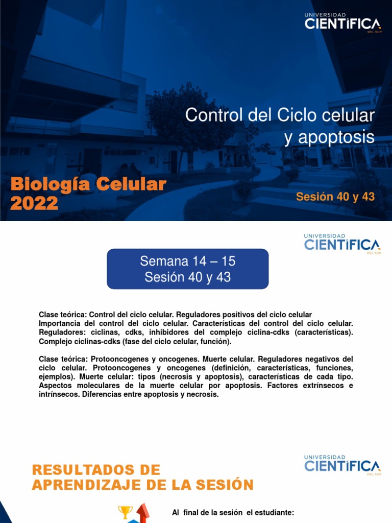 Biología Celular-Control de Ciclo Celular I y II Apoptosis - 14 y 15-16 ... Biología Celular-Control de Ciclo Celular I y II Apoptosis - 14 y 15-16 ...