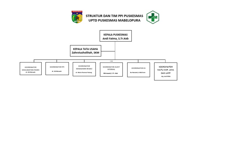 Struktur Dan Tim Ppi Puskesmas | PDF