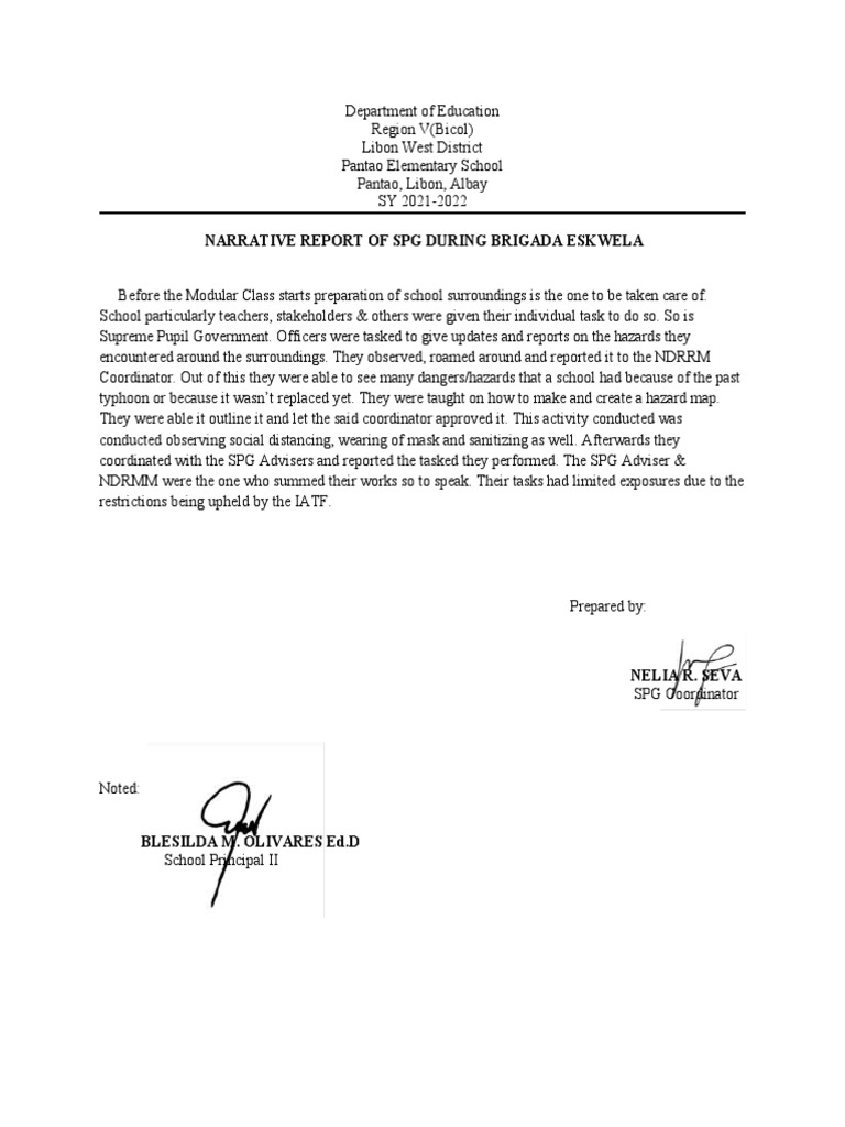 SPG Activities Report | PDF