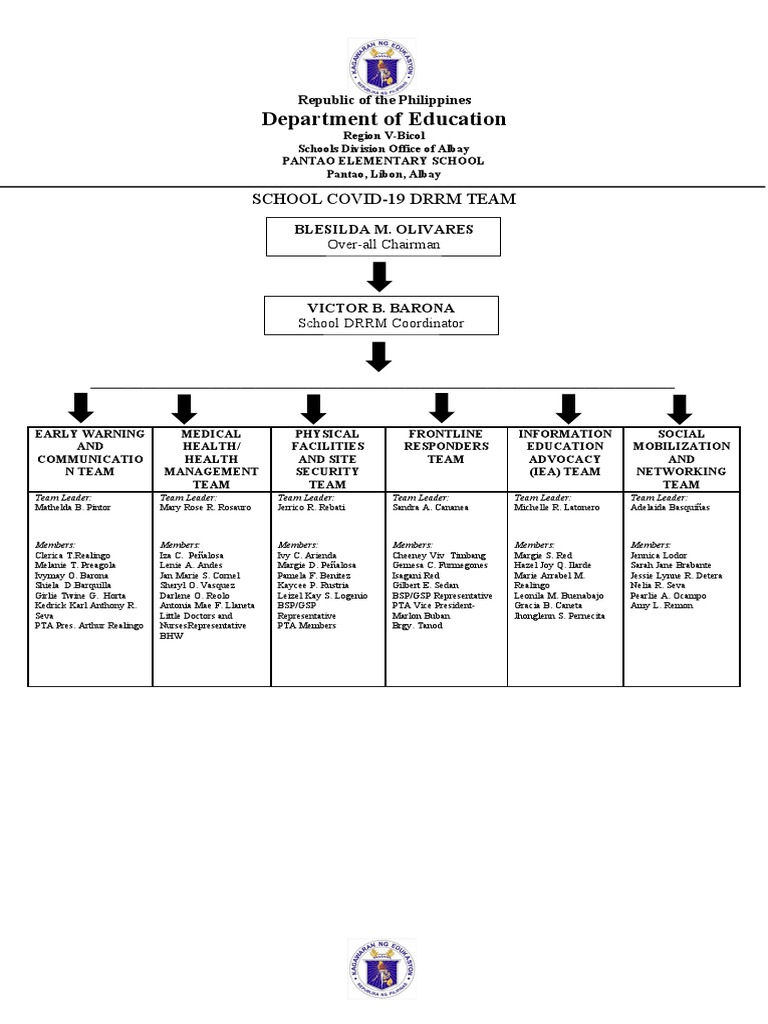 School DRRM Roles and Responsibilities | Download Free PDF | Emergency ...