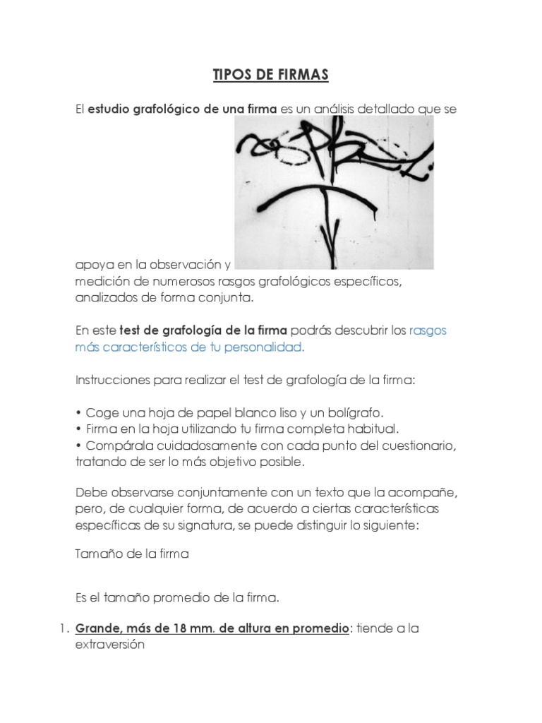 Tipos de Firmas | PDF