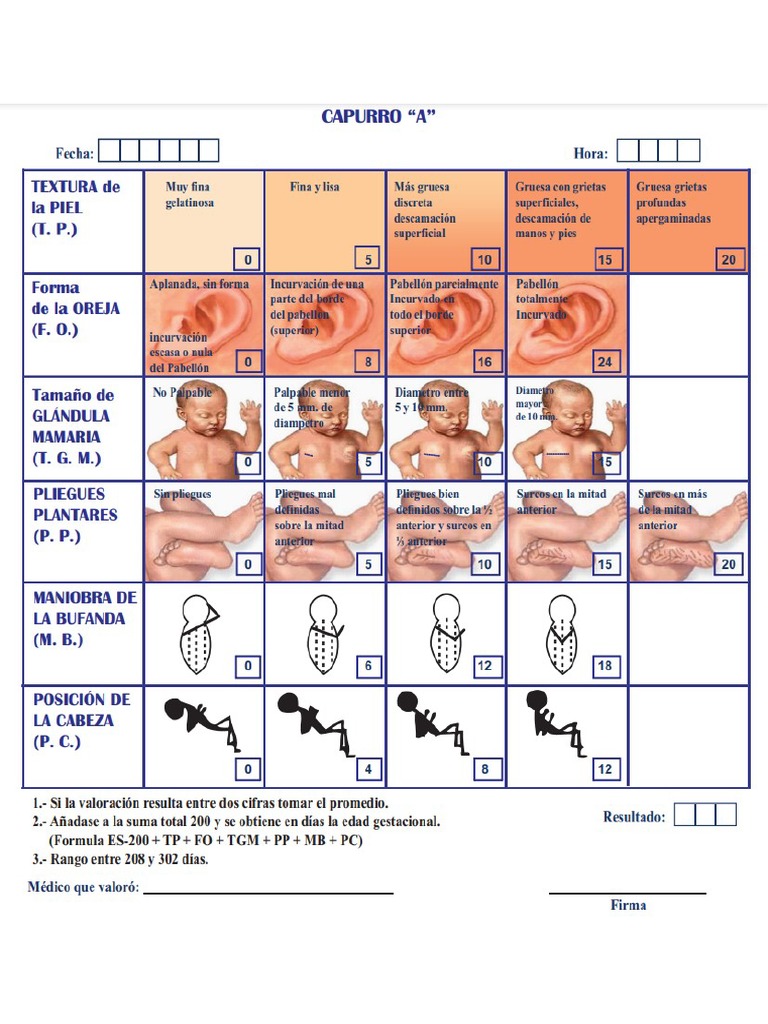 Capurro Modificado | PDF