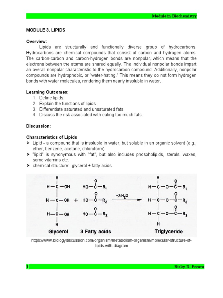Biochemistry - Module 3 | PDF | Fat | Fatty Acid
