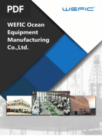 API 11D1 Packers and Bridge Plugs | PDF