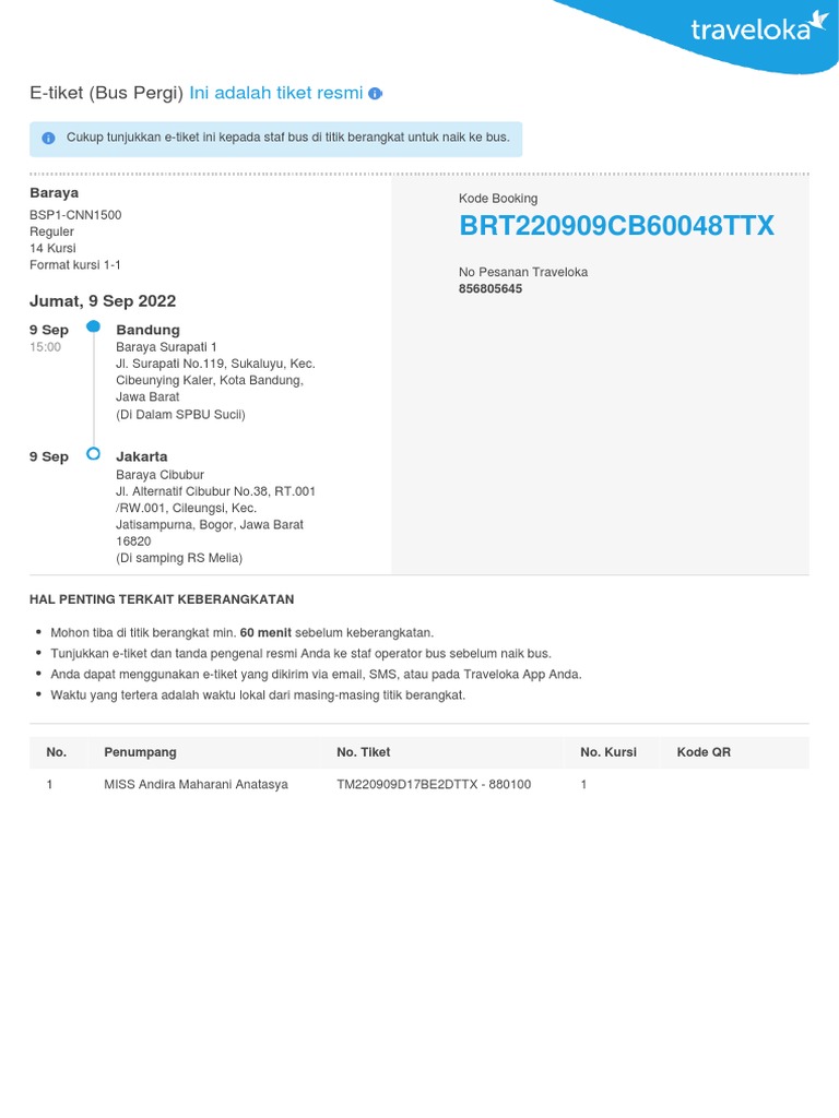 BUS AWAY E-Ticket | PDF