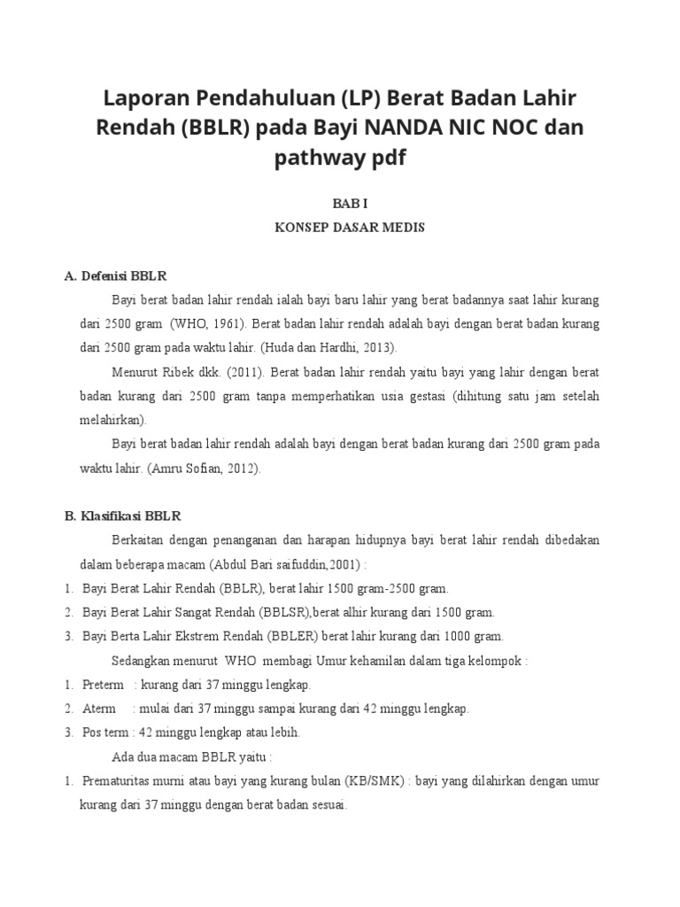 Laporan Pendahuluan BBRL | PDF